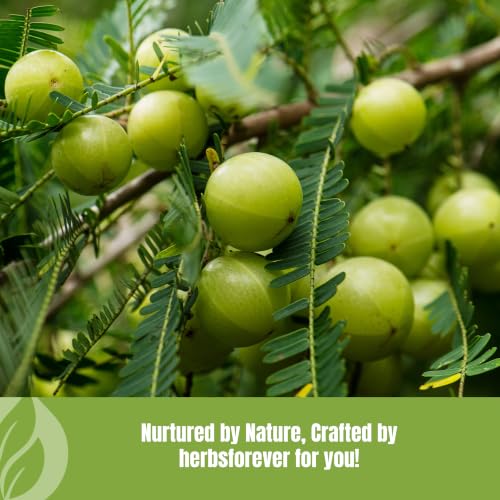 Boost energy with Amla Fruit vitamins