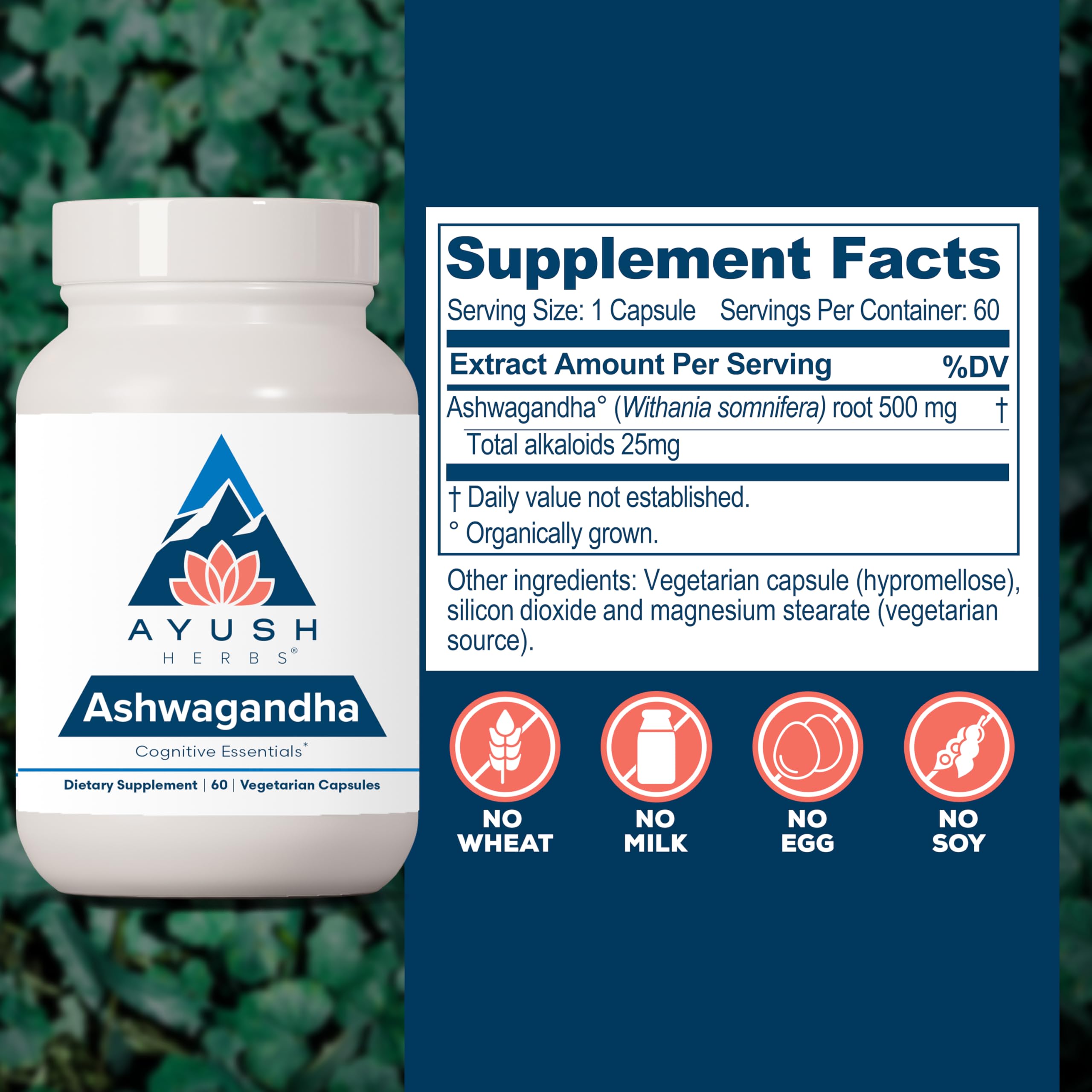 boost energy with ashwagandha capsules