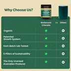 boost energy with chlorella