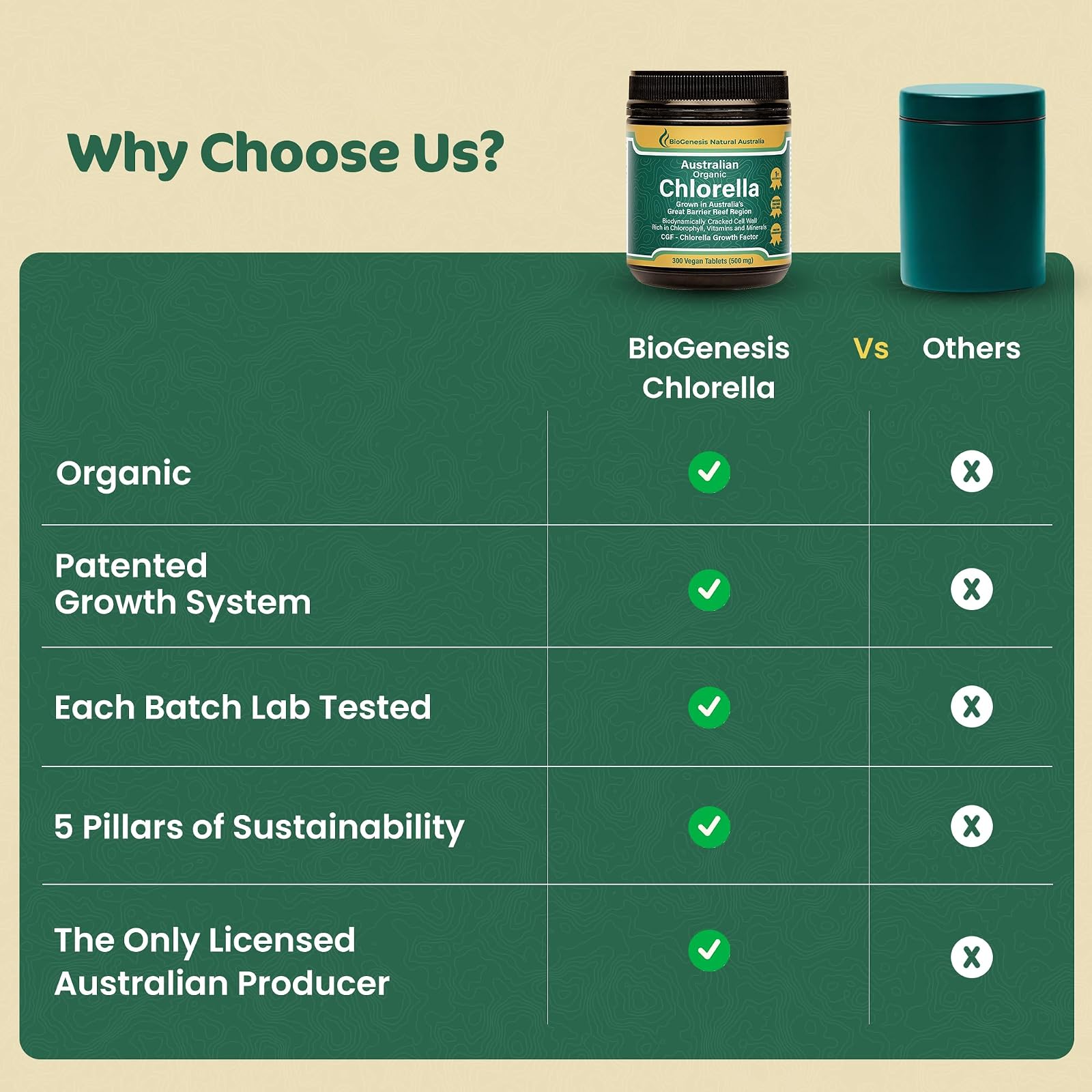 boost energy with chlorella