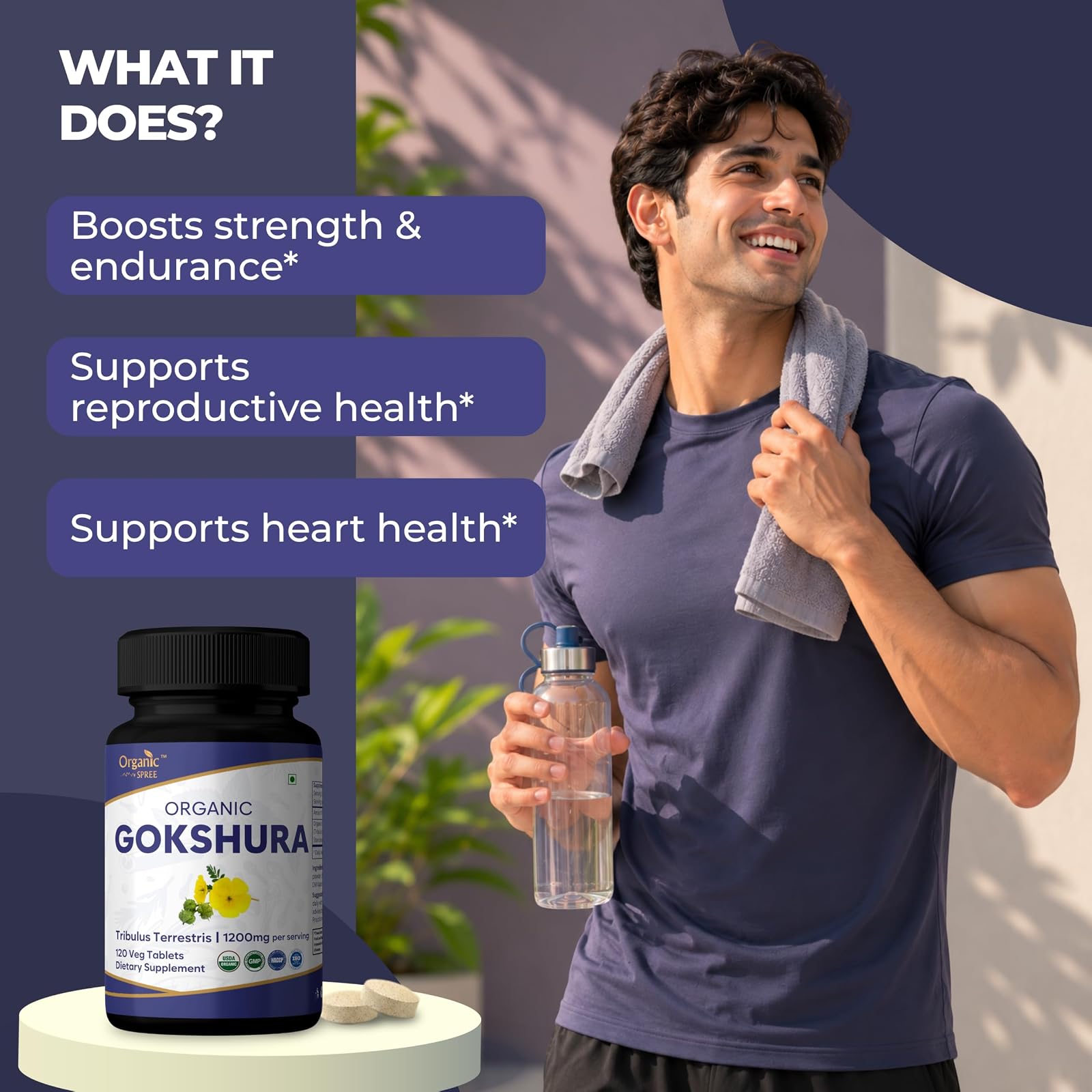 boost energy with gokshura capsules
