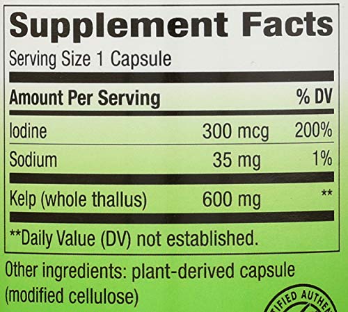 boost energy with kelp iodine