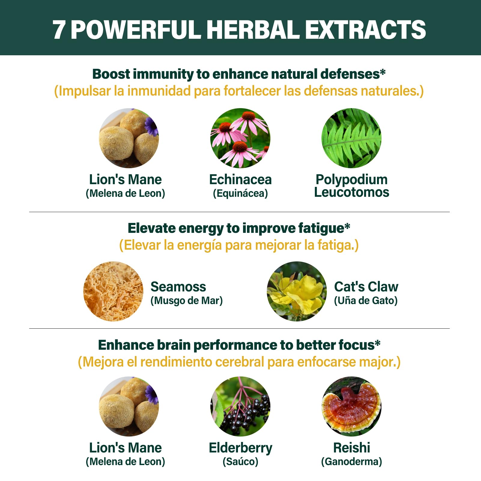 boost energy with Lion's Mane extract
