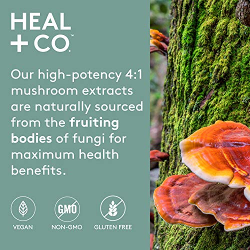 boost energy with mushroom vitamins