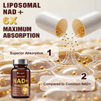 Boost energy with NAD+ Resveratrol