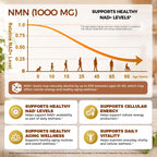 boost energy with NMN capsules