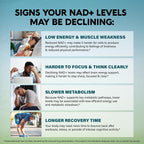boost energy with NMN capsules