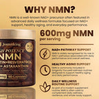 boost energy with NMN supplement