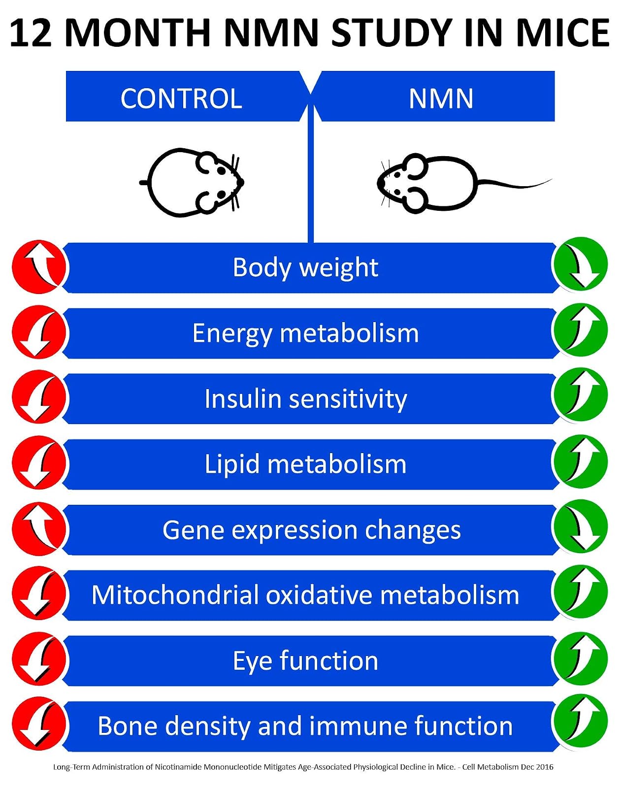 boost energy with NMN