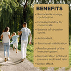 boost energy with Ormus zinc