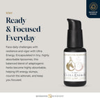 boost energy with Reishi extract