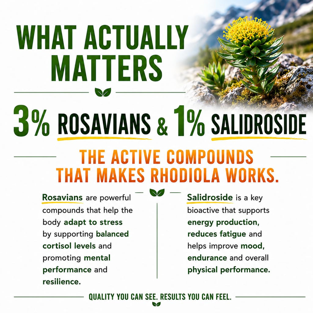 boost energy with rhodiola capsules