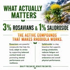 boost energy with rhodiola capsules