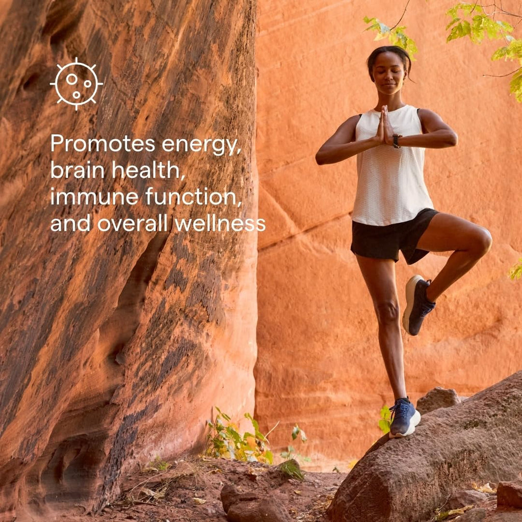 Boost energy with Shilajit