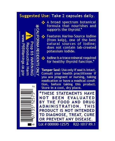 boost energy with thyroid extract