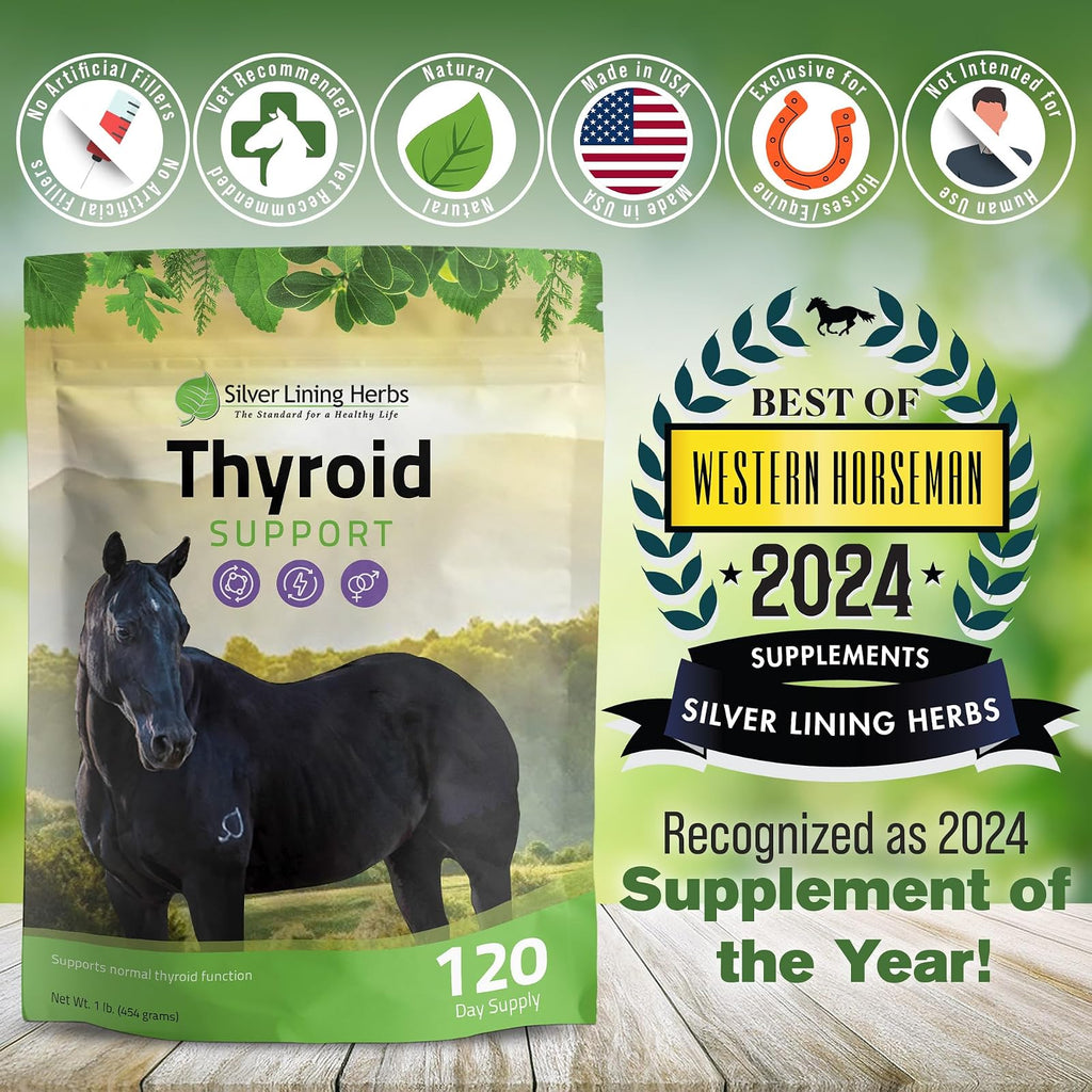 boost energy with thyroid support