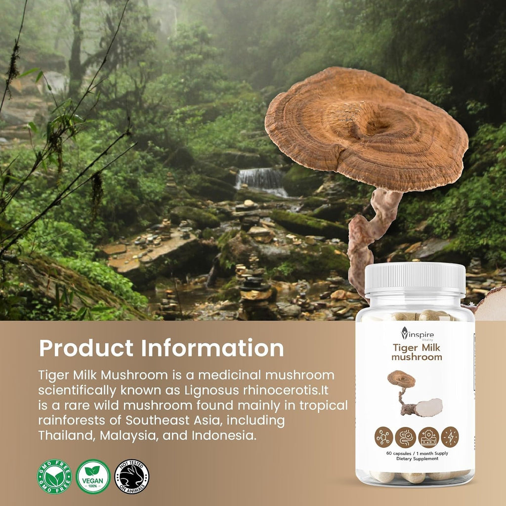 boost energy with Tiger Milk Mushroom