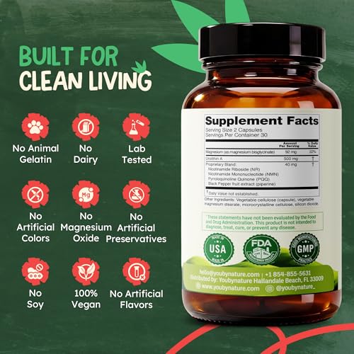 Boost energy with Urolithin A capsules