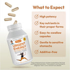 boost energy with vitamin b complex