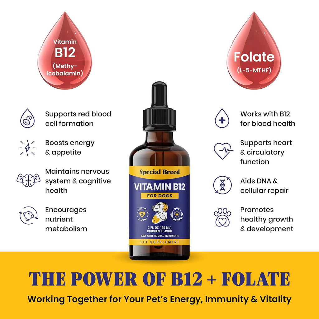 boost energy with vitamin B12