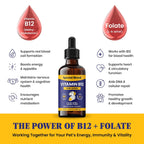 boost energy with vitamin B12