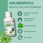 Boost energy with Wild Alfalfa Chlorophyll