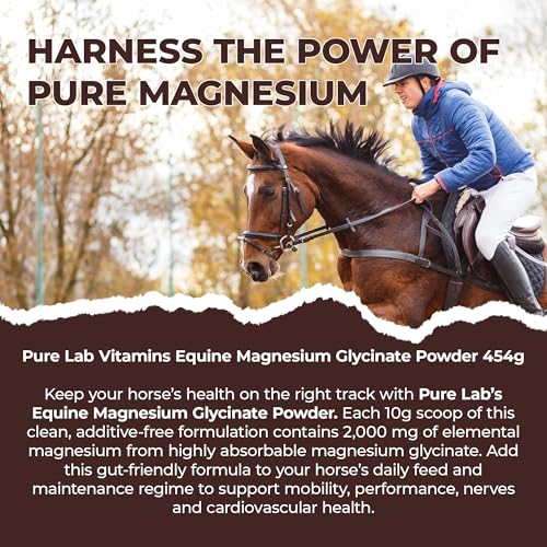 boost equine health with magnesium