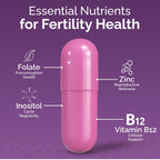 boost fertility with prenatal DHA