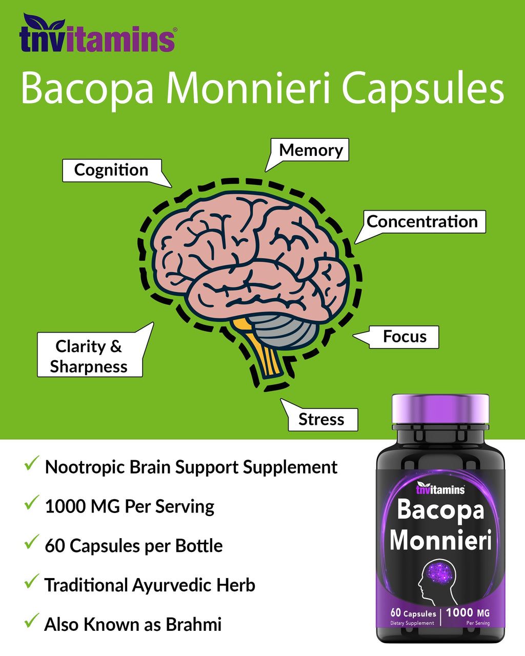 boost focus using bacopa monnieri
