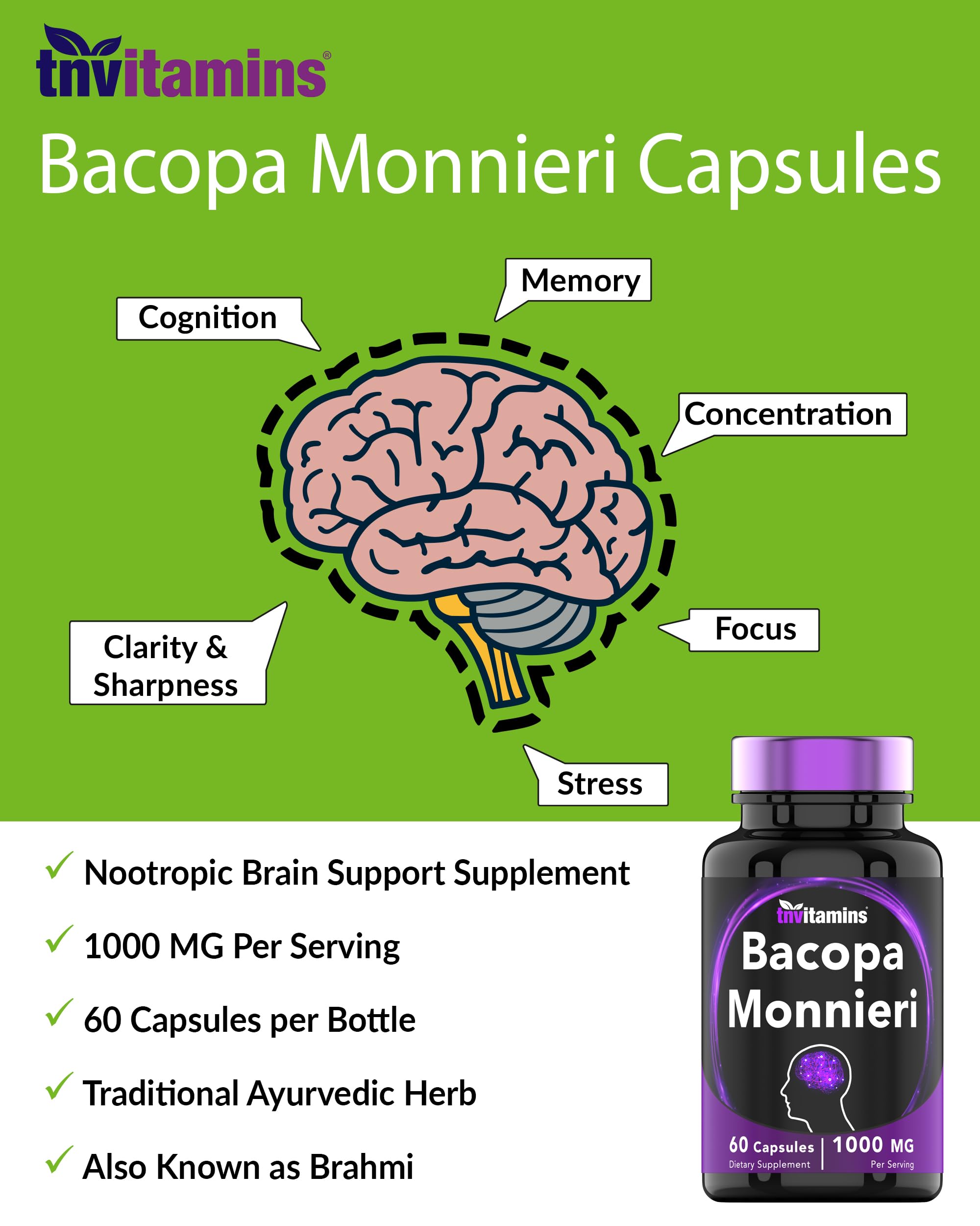 boost focus using bacopa monnieri