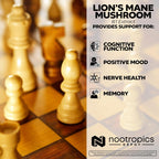boost focus with lion's mane capsules