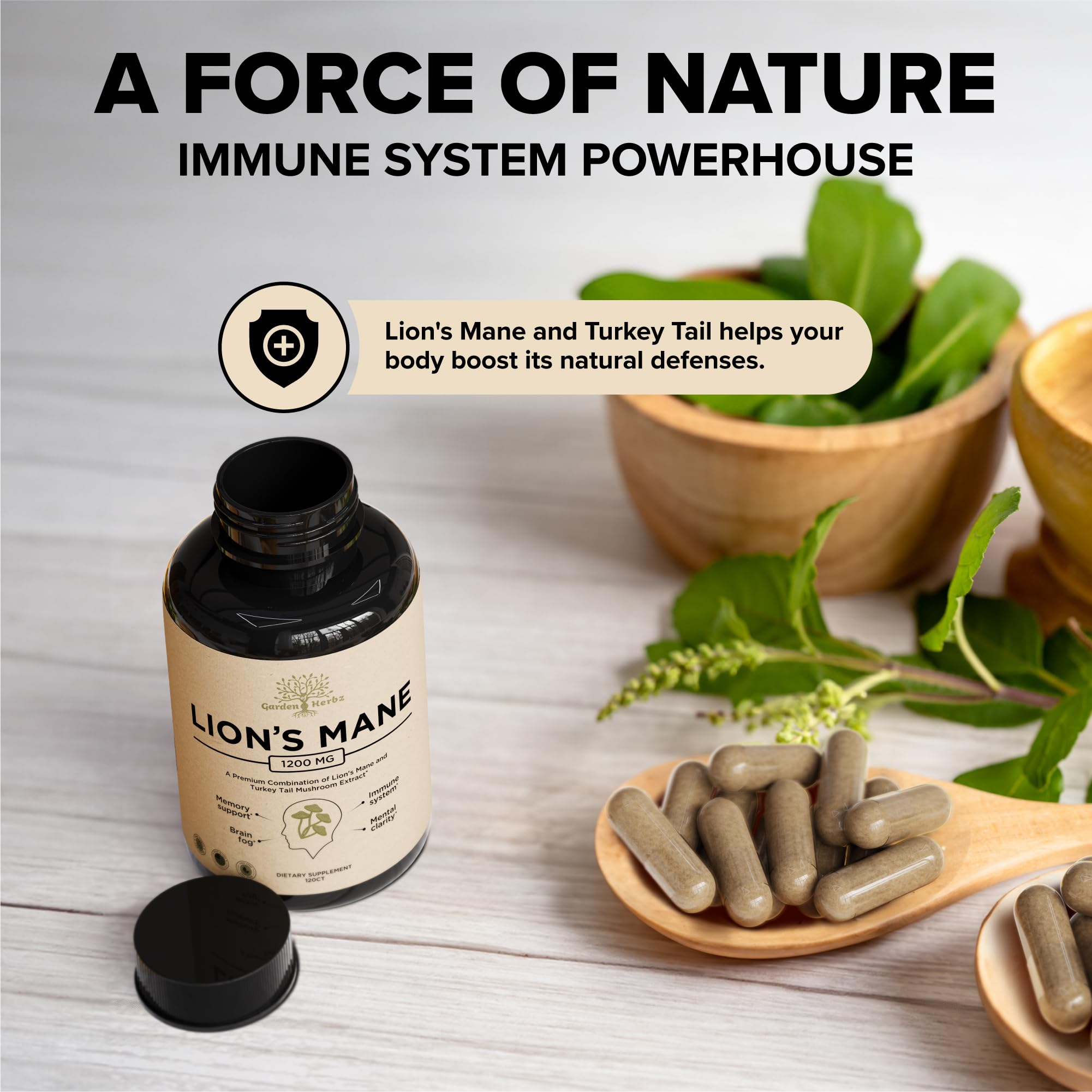 Boost focus with Lion's Mane capsules