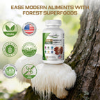 Boost focus with Lion's Mane capsules