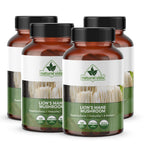 Boost focus with Lion's Mane capsules