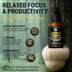 boost focus with lion's mane extract