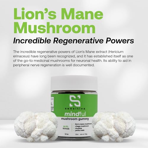 Boost focus with Lion's Mane