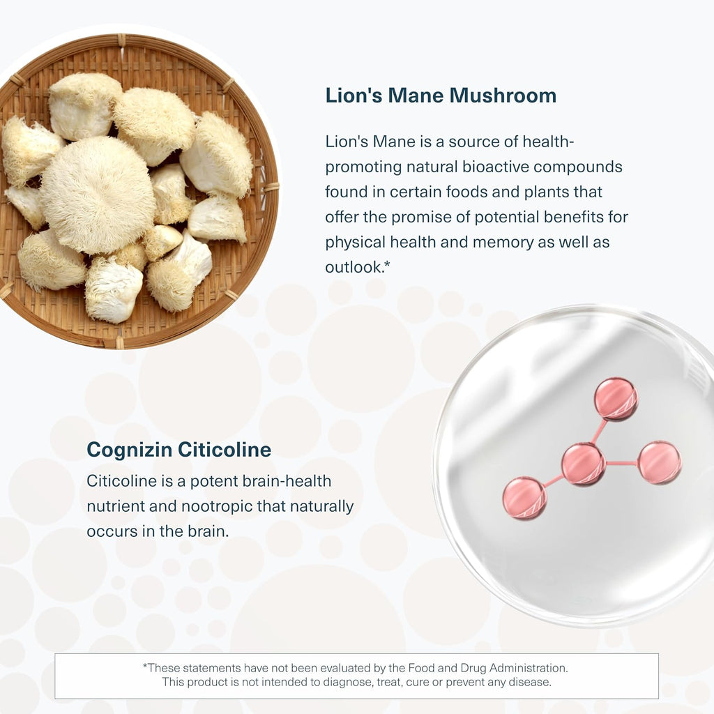 boost focus with lion's mane