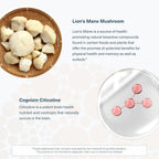 boost focus with lion's mane
