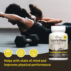 Boost focus with Lions Mane capsules