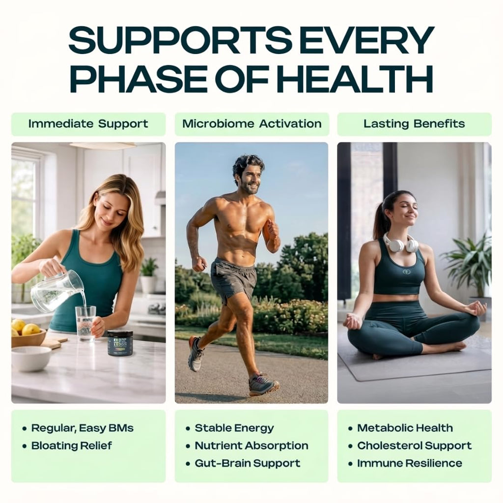 boost gut flora with fiber supplement