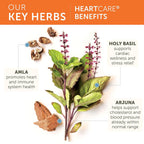 boost heart wellness with Himalaya
