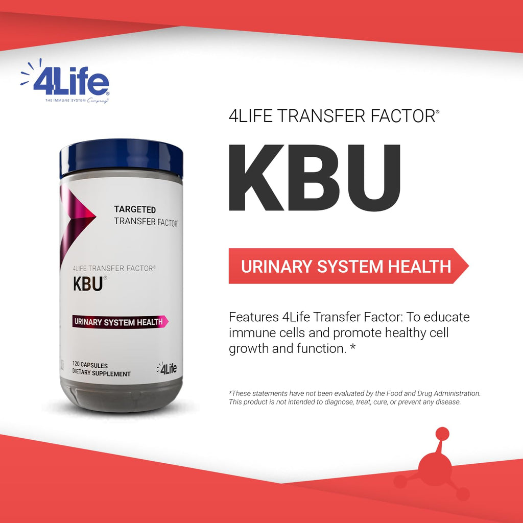 boost immune function with herbal blends