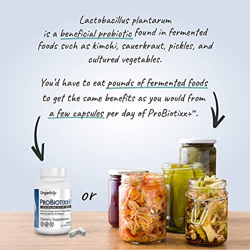 boost immune health with probiotics