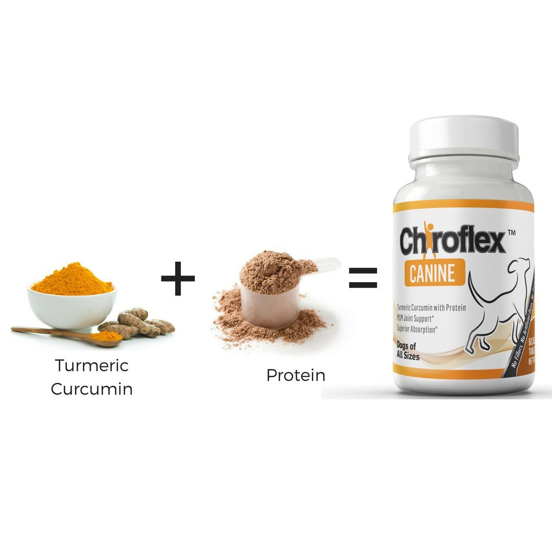 boost immune system in dogs