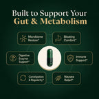 boost immune system naturally
