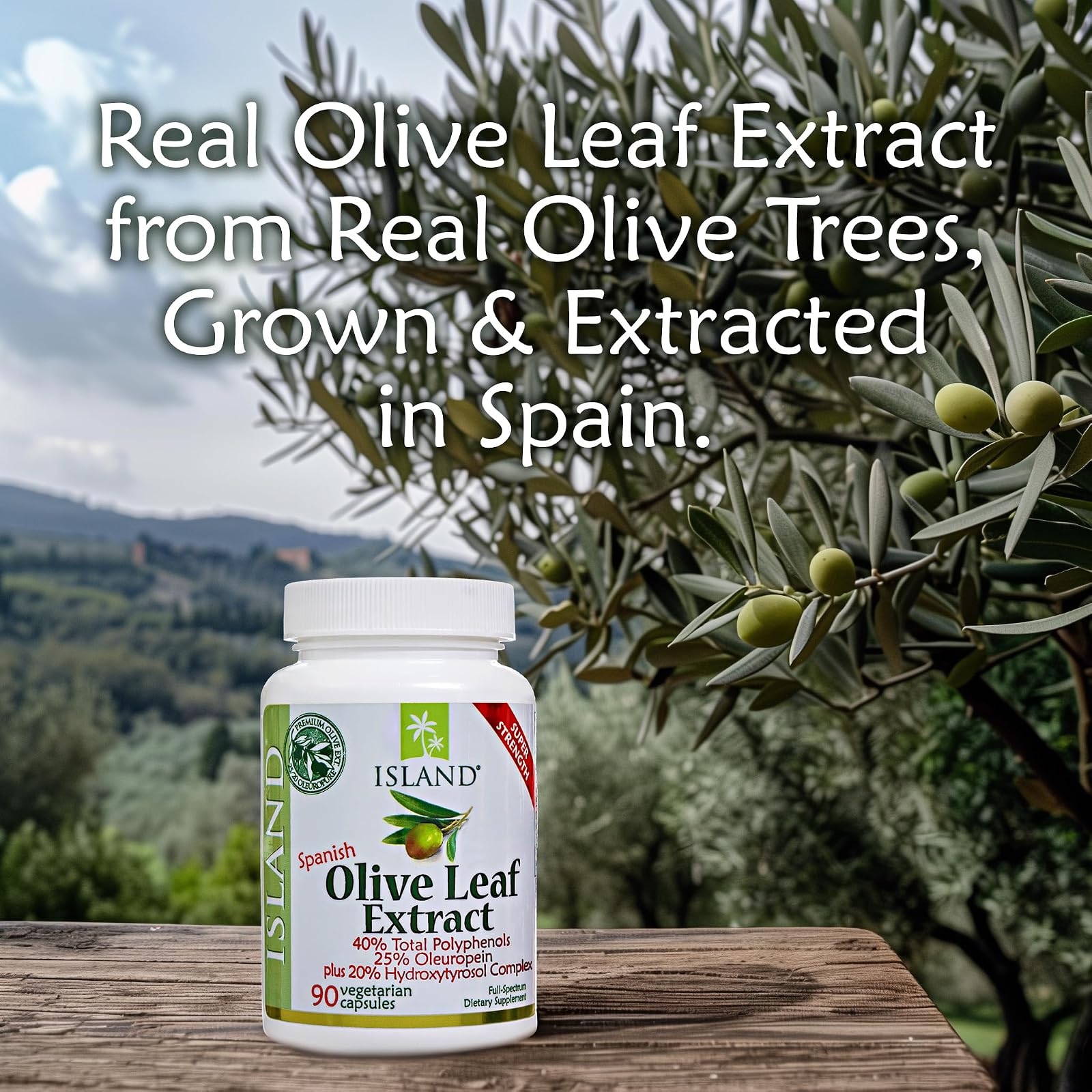 boost immune system olive leaf