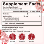 boost immune system with antioxidants