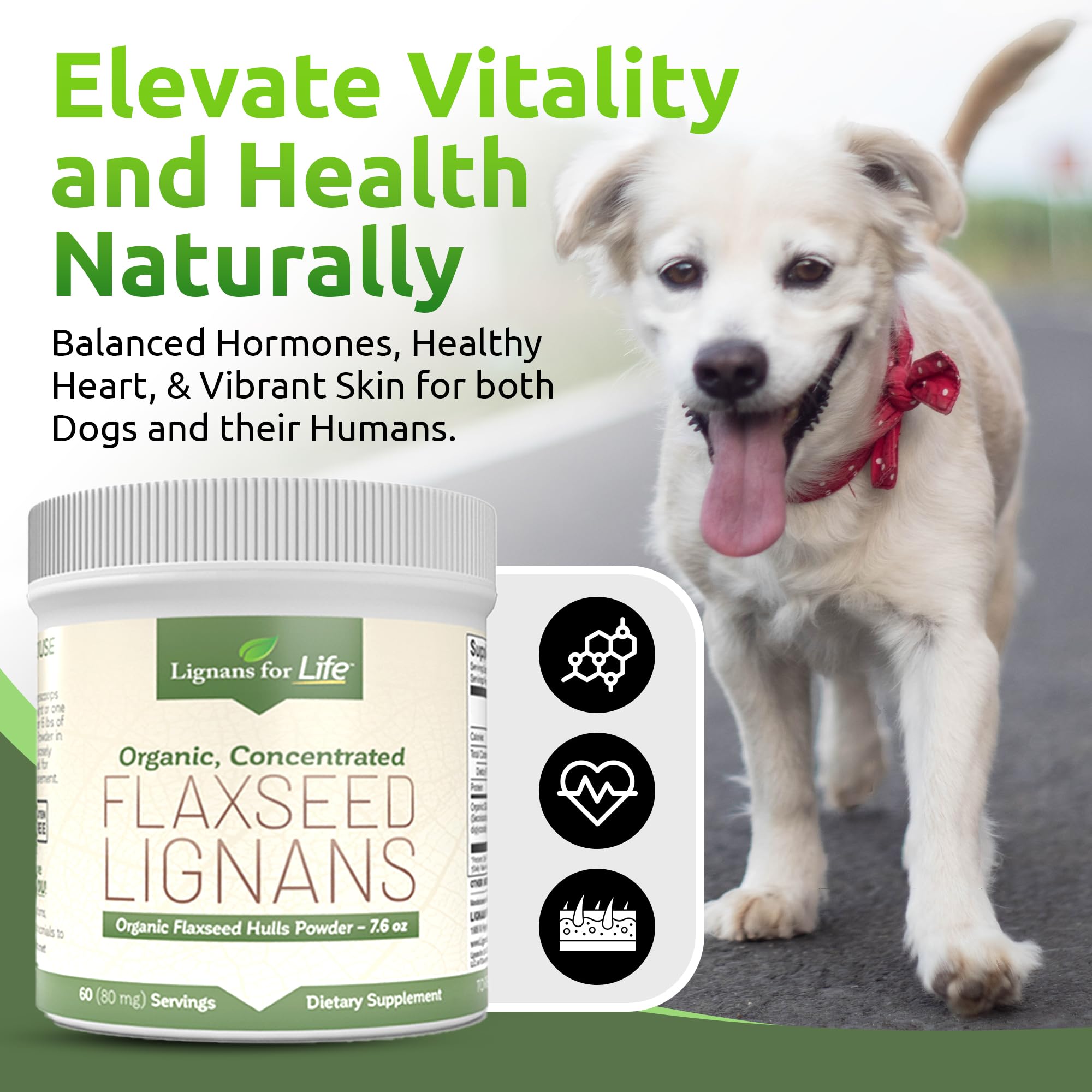 boost immune system with fibers