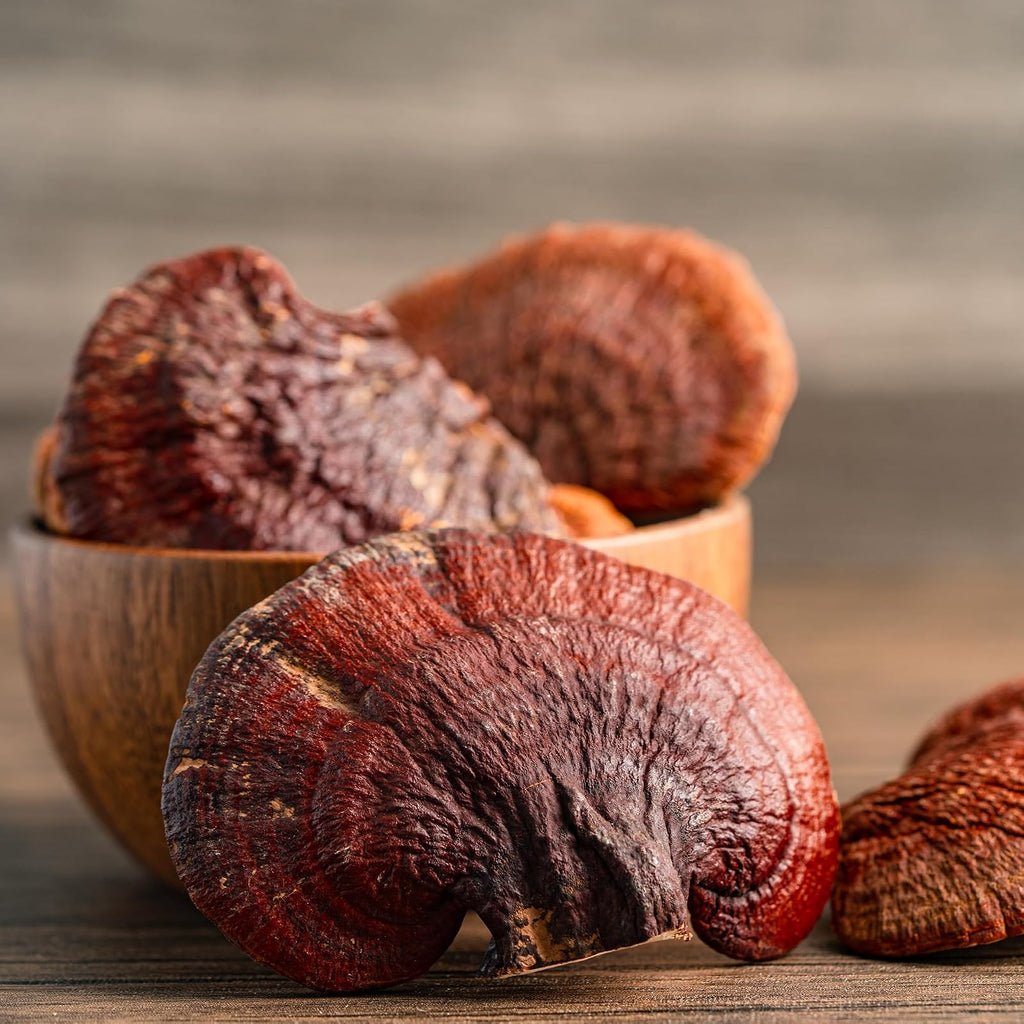 boost immune system with reishi
