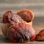 boost immune system with reishi